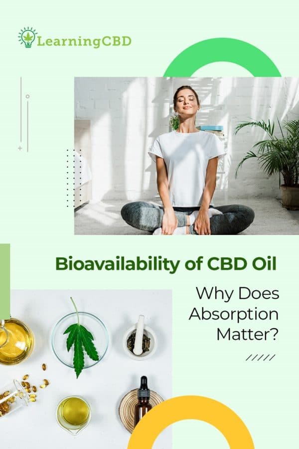 Bioavailability of CBD Oil: Why Does Absorption Matter?